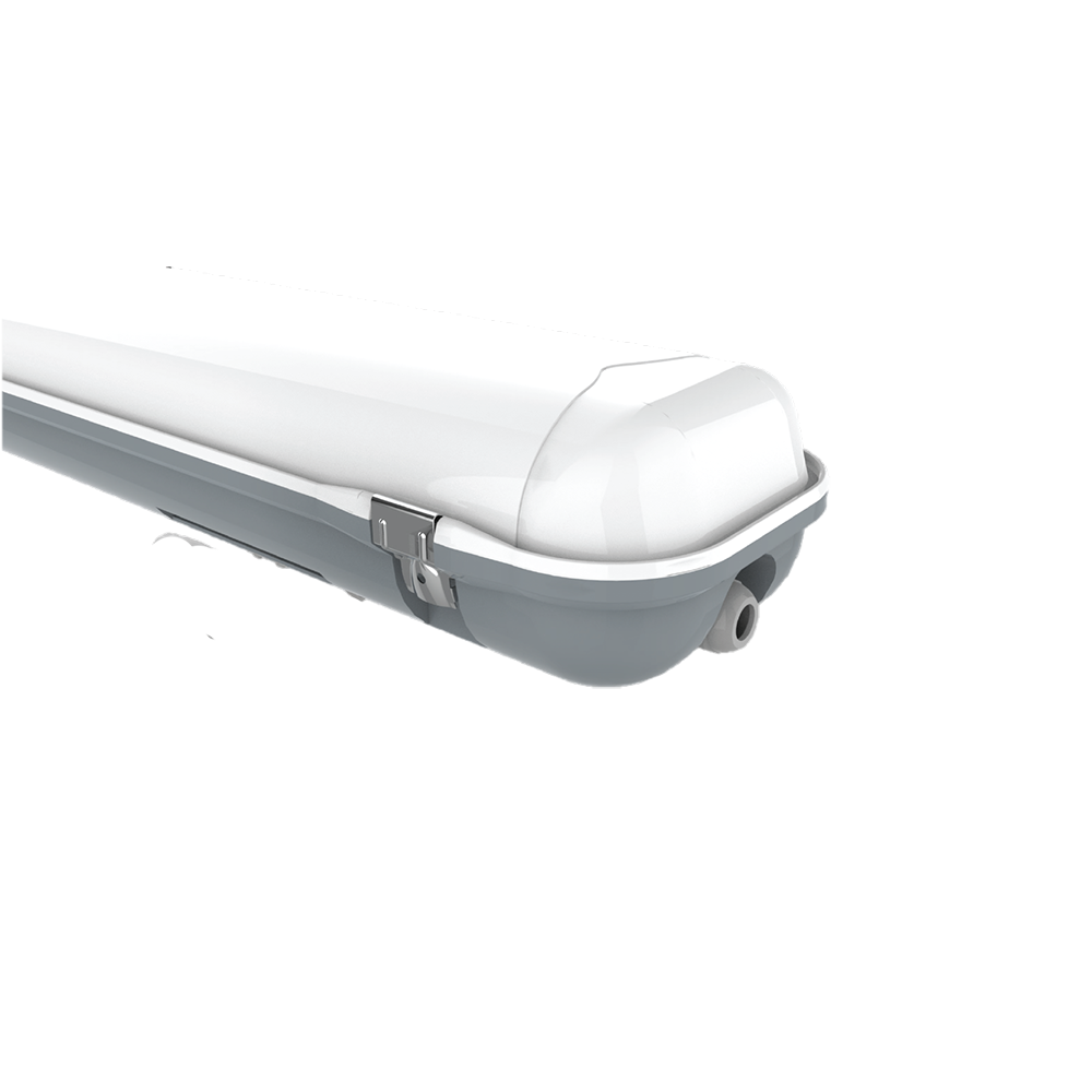 Rayon Lighting - DAMP LED 2